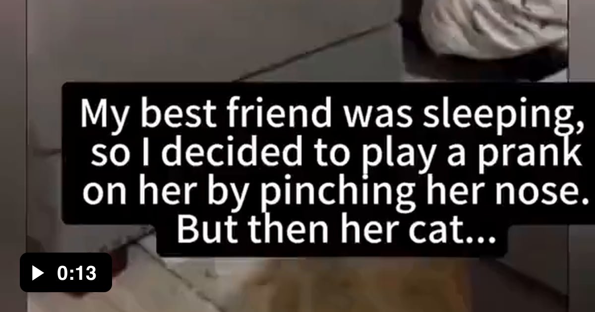 The cat be like: Don't touch my can opener! - 9GAG