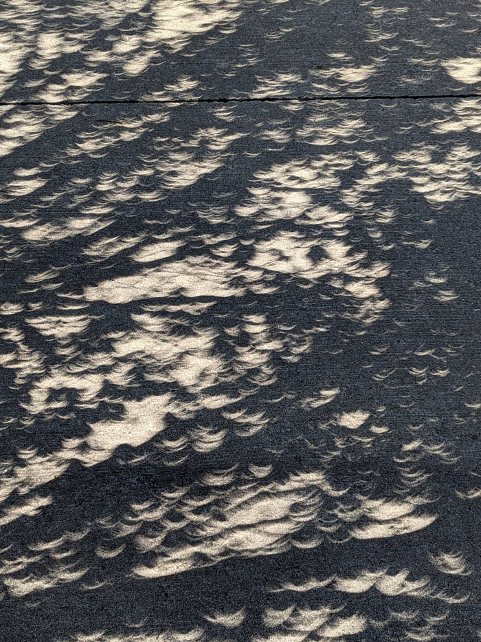 The eclipse is making the trees cast cool shadows - 9GAG