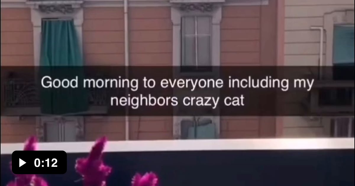 Good morning kitty - 9GAG