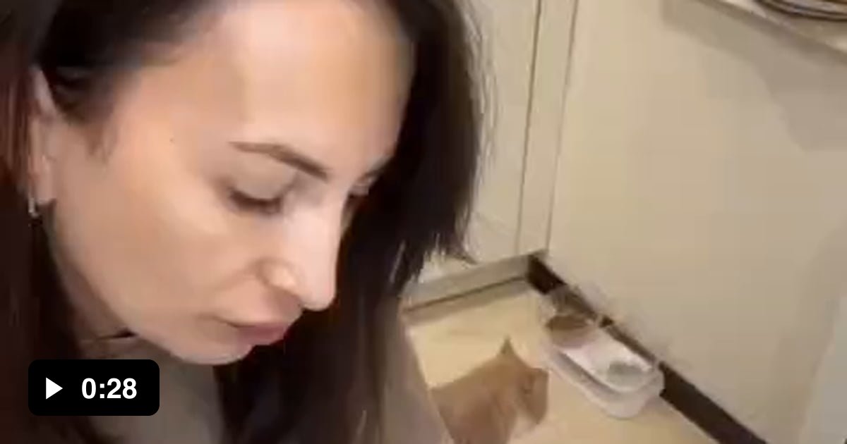 Feed me human - 9GAG