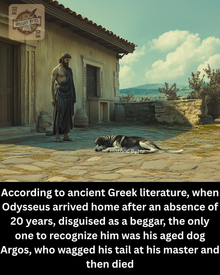 Good doggo is true unconditional love - 9GAG