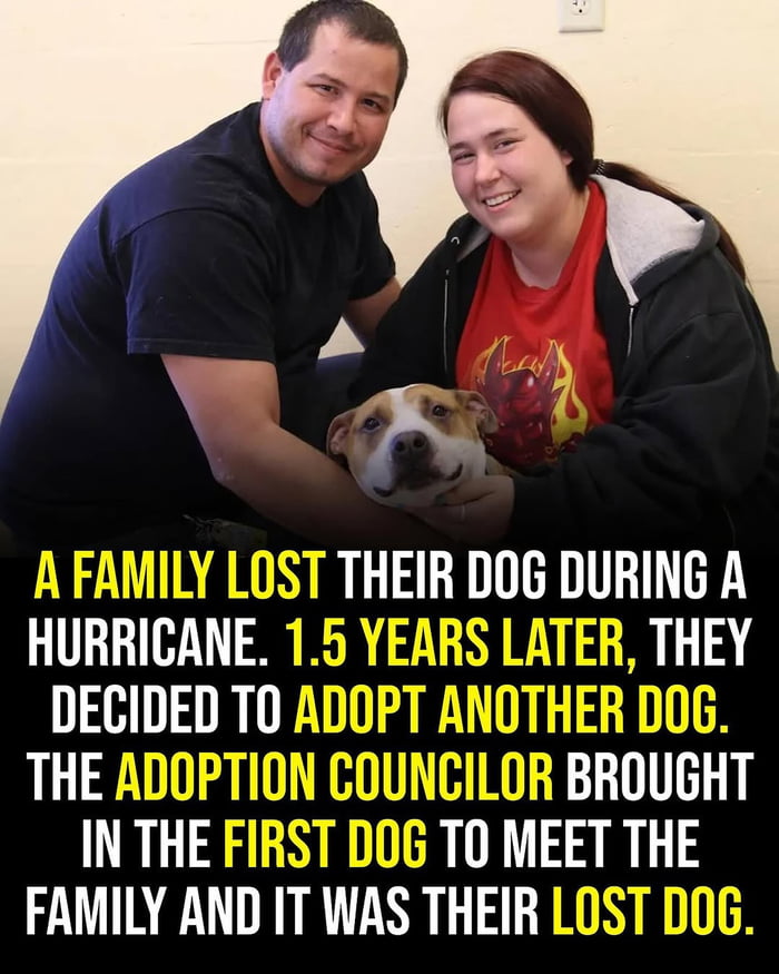 An incredible reunion after years apart - 9GAG