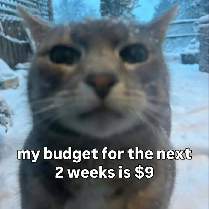 Trying to make ends meet - 9GAG