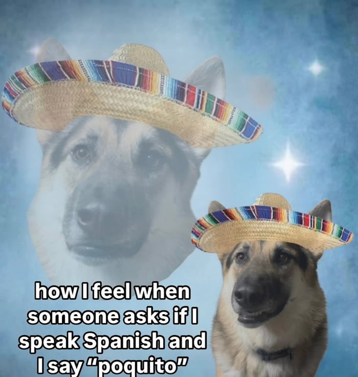When "poquito" is the extent of your Spanish. - 9GAG