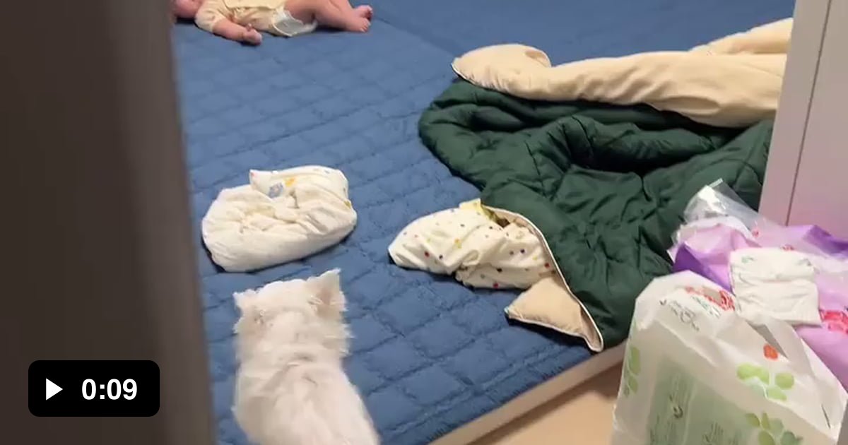 Kids be like: what's bro yapping about? - 9GAG