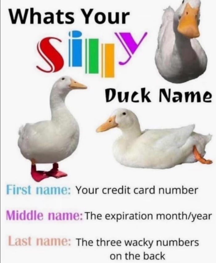 Okay, tell me your silly duck name... - 9GAG