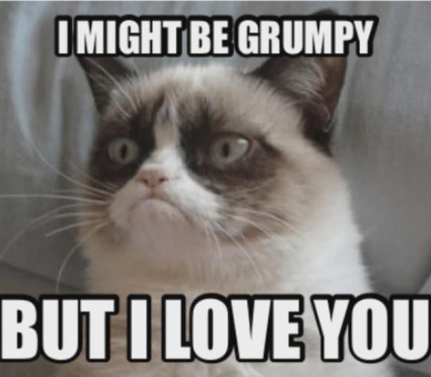 Outwardly grumpy, inwardly softie. - 9GAG