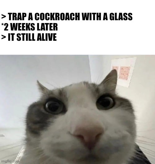 Immortal creature - 9GAG