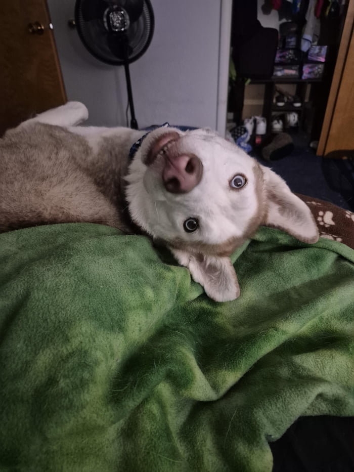What a goofball - 9GAG