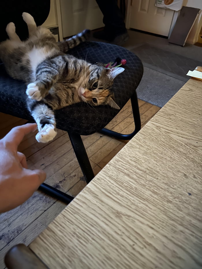 Medieval Art Model “The Creation” - 9GAG