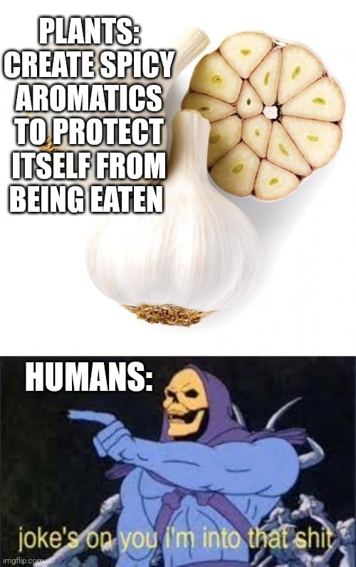 Garlic is life, Garlic is love - 9GAG