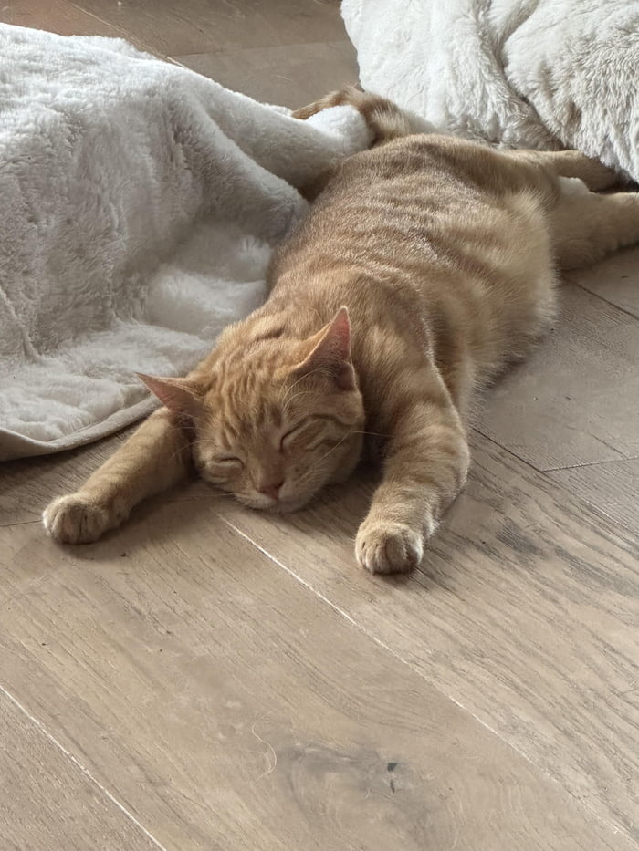 The Deepest Sleeper 😂 - 9GAG