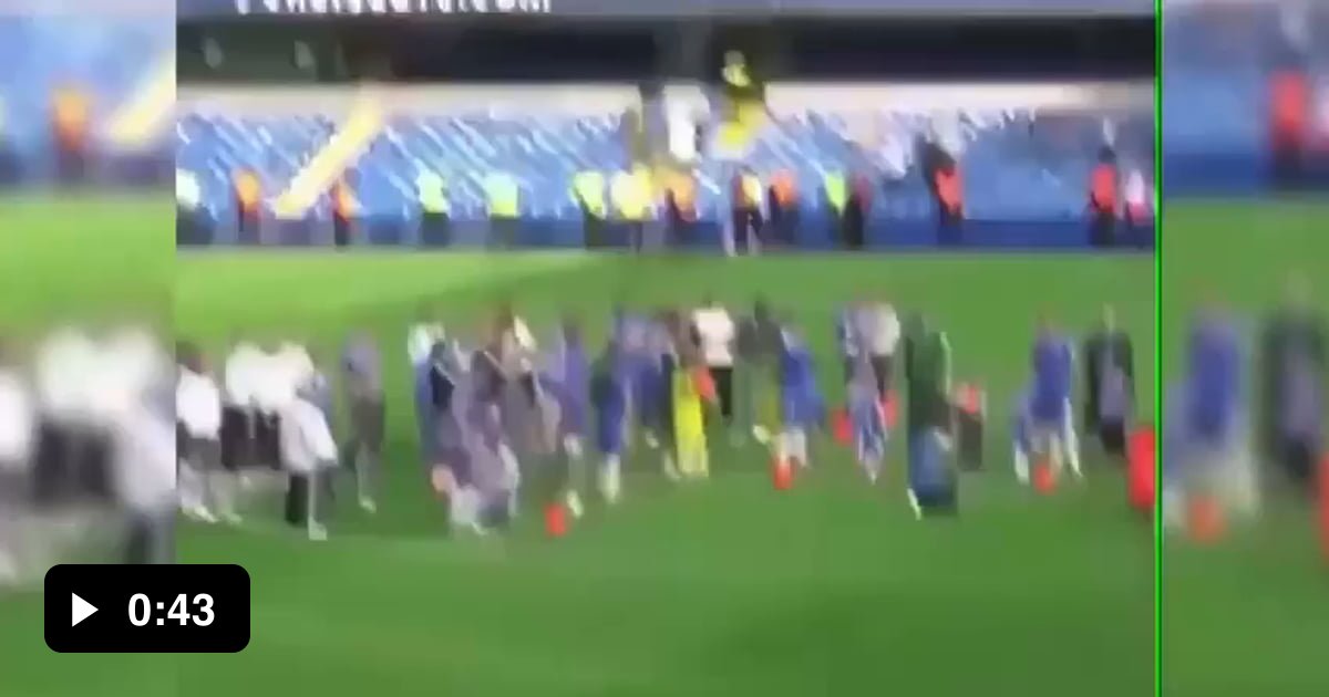 This little guy living his best life! - 9GAG