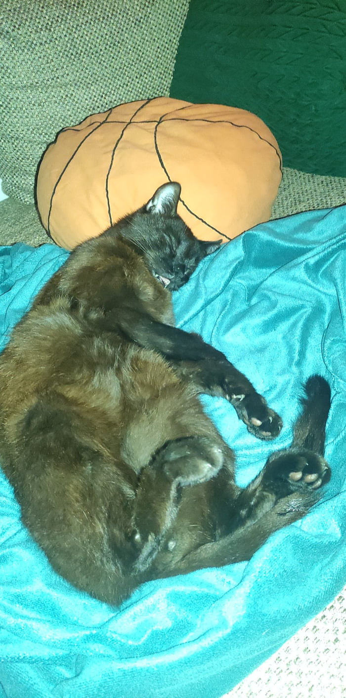 Behold my sleepy void - 9GAG