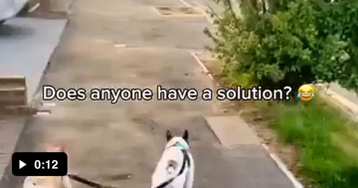 They're stuck in an infinite loop - 9GAG