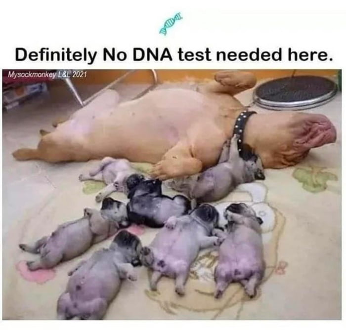 This is all the pixels, you get - 9GAG