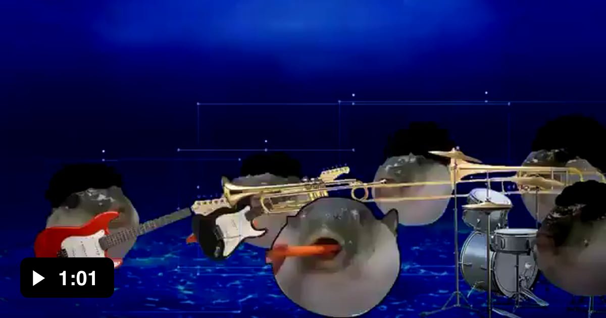Puffer fish band tribute! - 9GAG