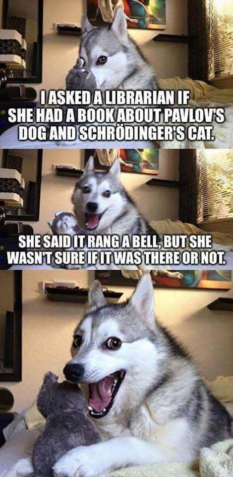 Pets of science! - 9GAG