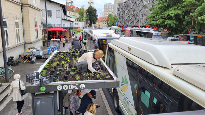Mini gardens on top of bus stops in Ljubljana, Slovenia. - 9GAG