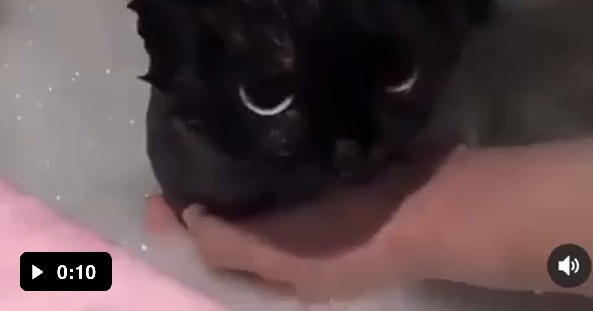 Cutie taking bath - 9GAG