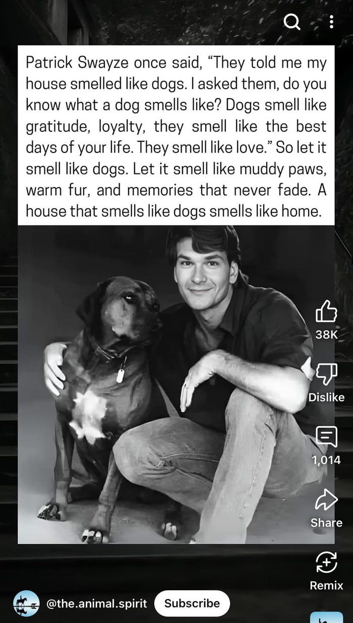 Patrick Swayze about dogs - 9GAG