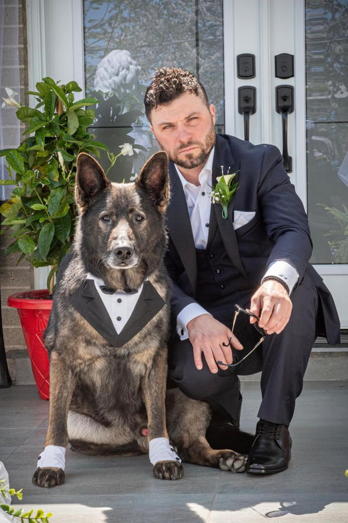 Got married a week ago ... heres my best man - 9GAG