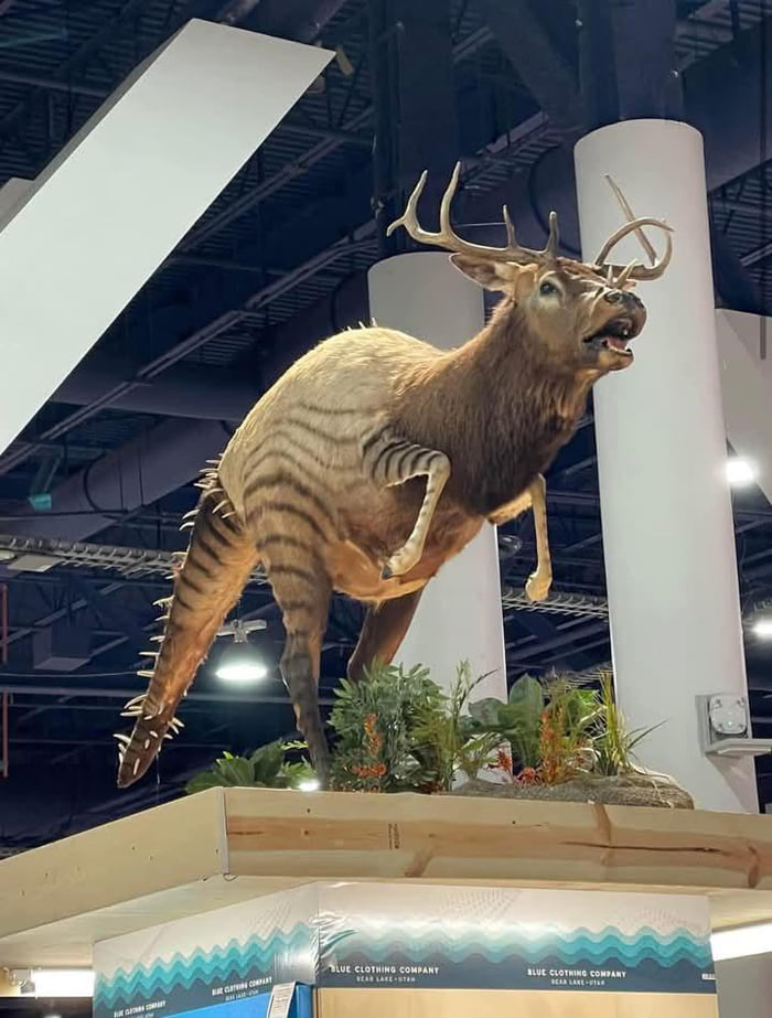 Irish elk-saurus the dino deer - 9GAG