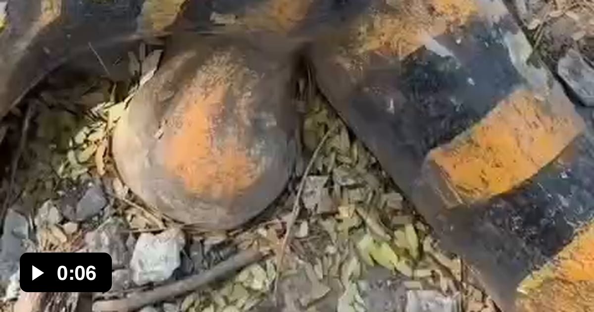 Cursed images only. - 9GAG