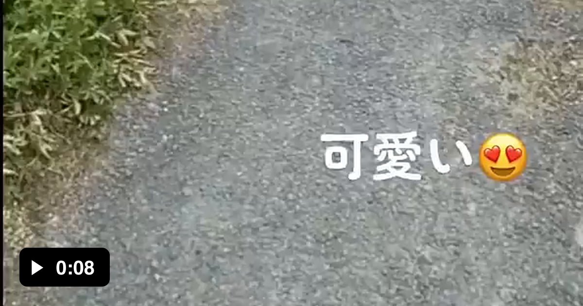 Help me step bro... - 9GAG