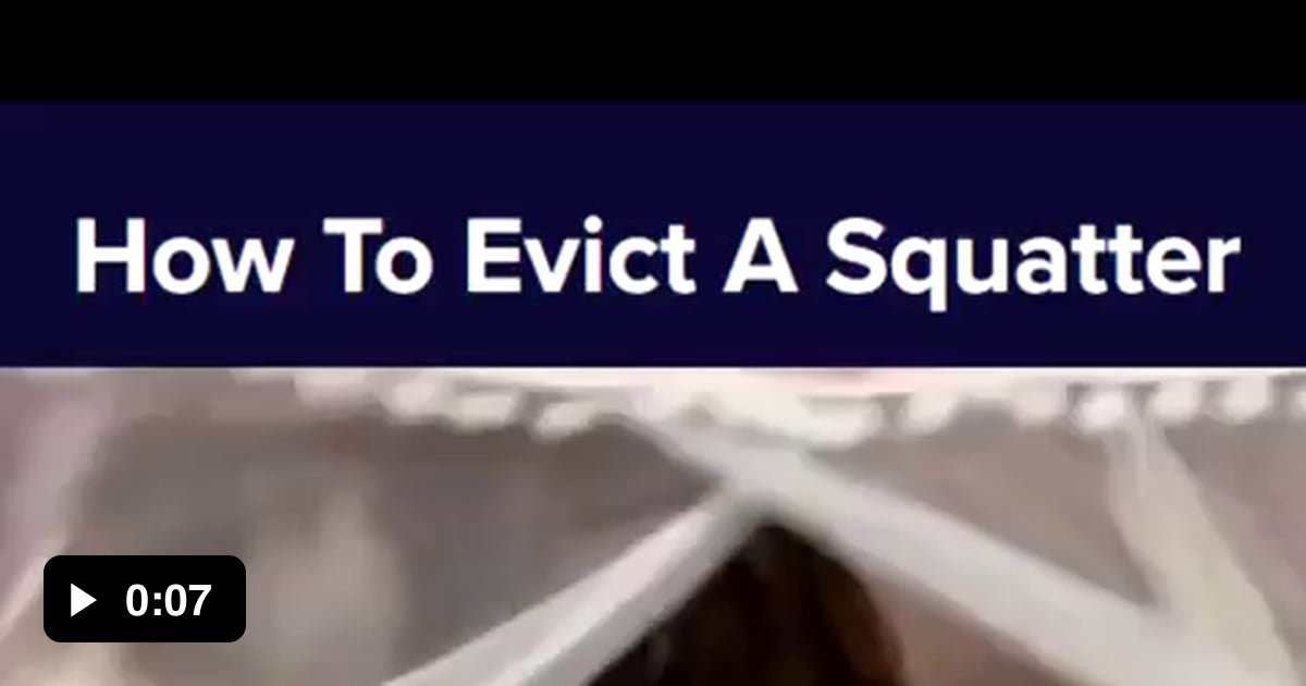 "Oh hey Clyde. You were right this tent is delight....?? OWW....NO ...