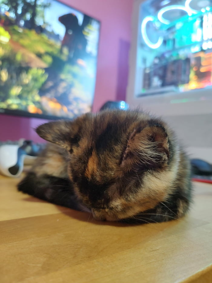 SOMEBODY ARREST HER FOR ILLEGAL CUTENESS!!!! - 9GAG