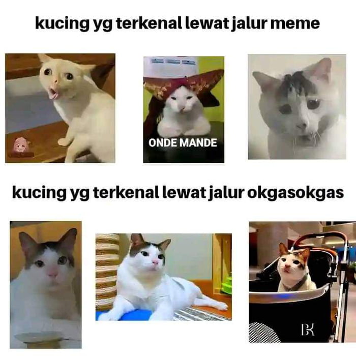 Adu majikan - 9GAG