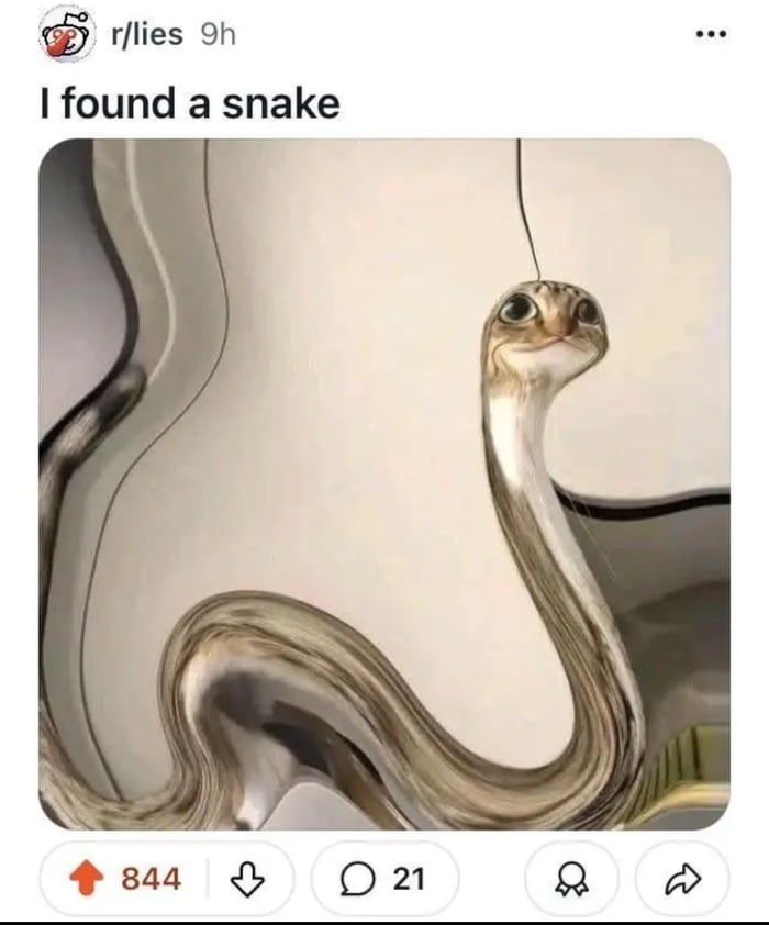 Snek - 9GAG