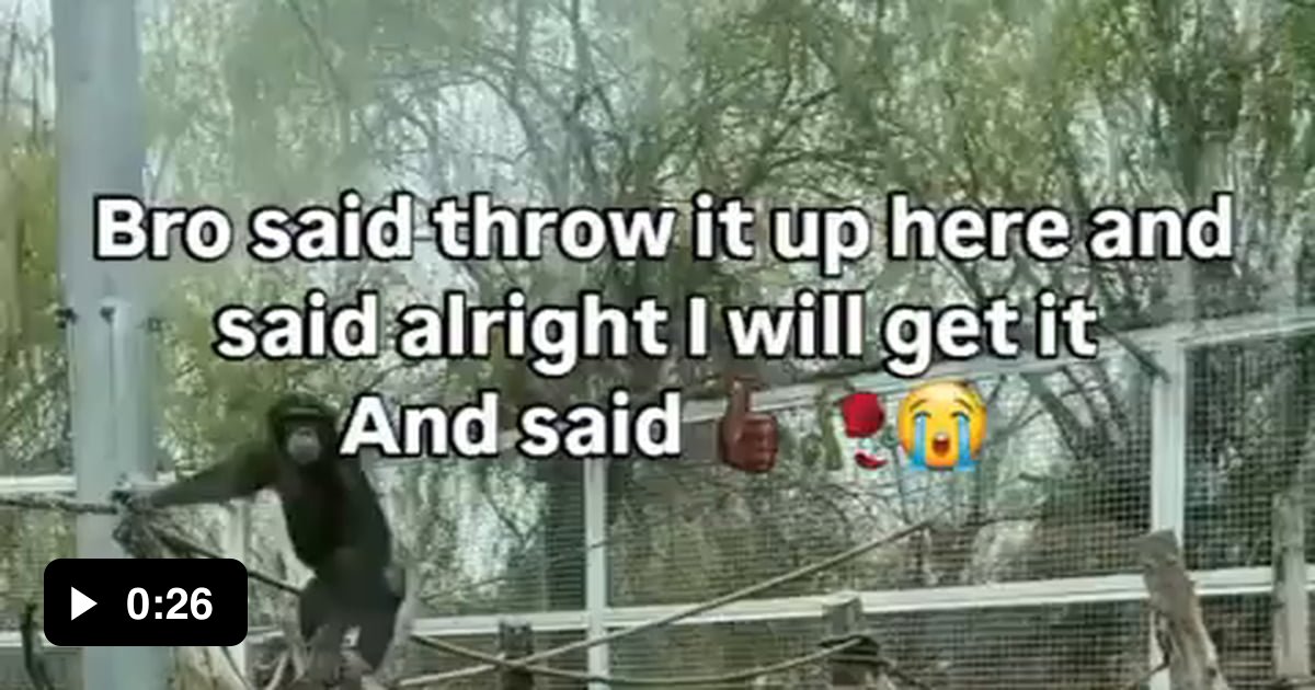 That level of intelligence is insane. - 9GAG