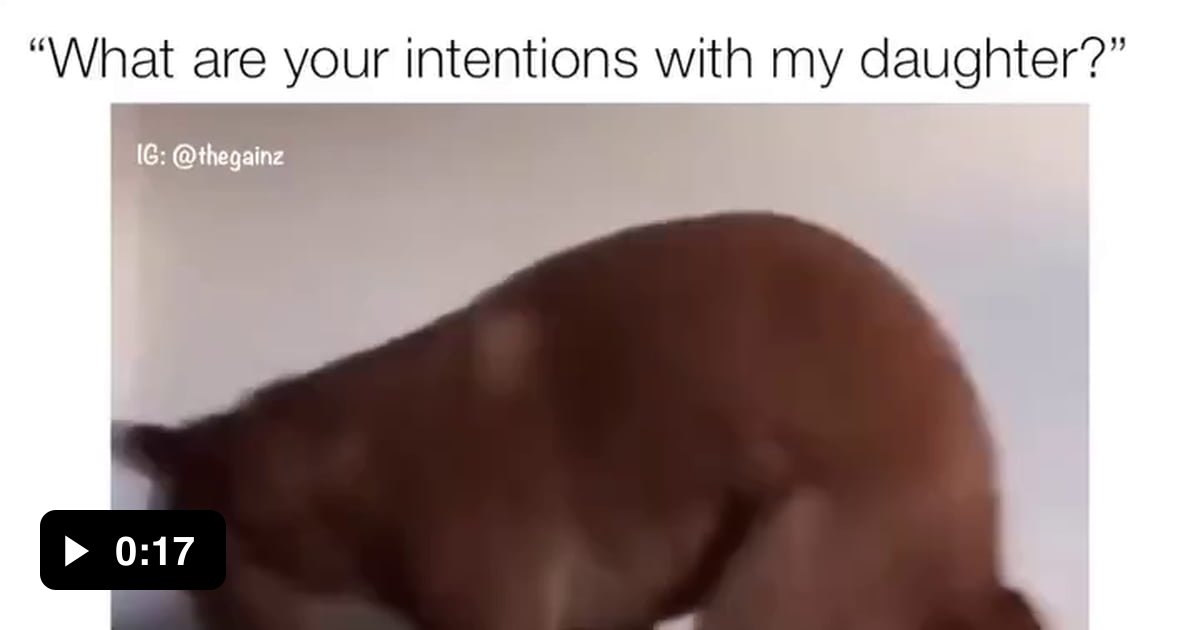 He aint lying - 9GAG