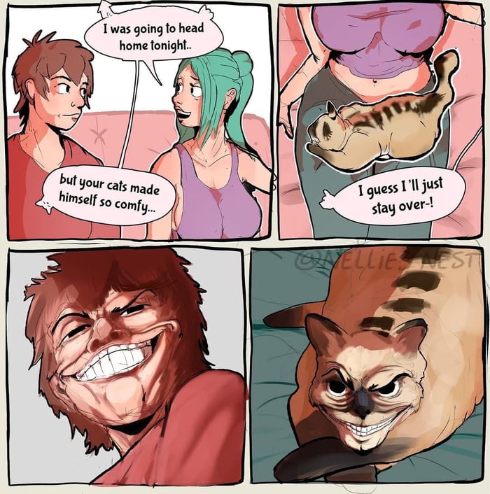 Cats can also be a man’s best friend - 9GAG