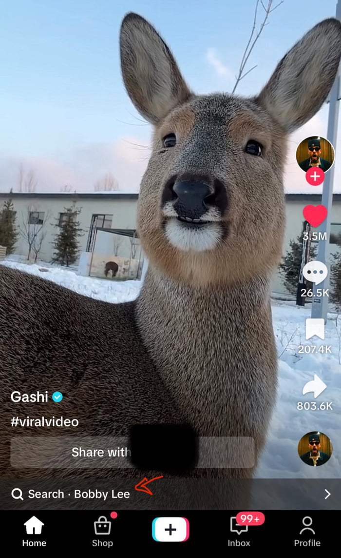 Tik Tok algo doing Bobby Lee dirty - 9GAG