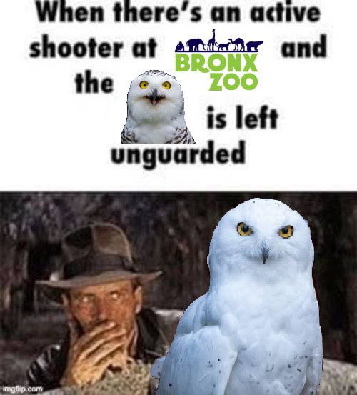 Hoot hoot - 9GAG
