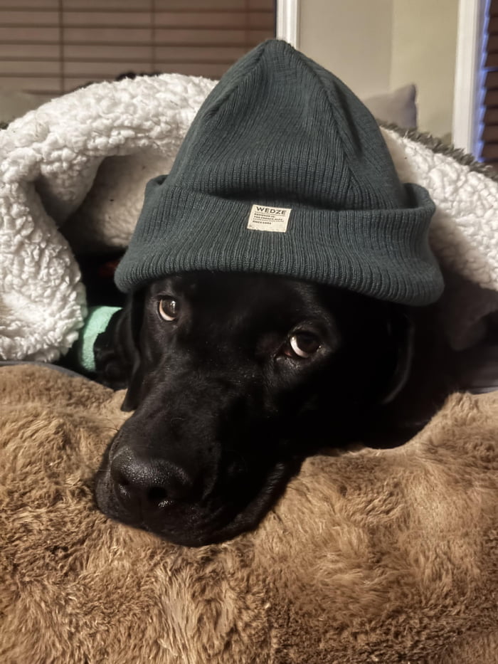 Cold day, need to stay warm. - 9GAG