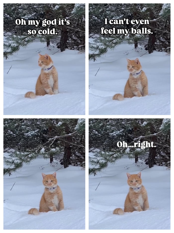 Winter realizations. - 9GAG