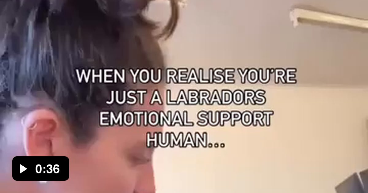 When you need some love from your emotional support human - 9GAG