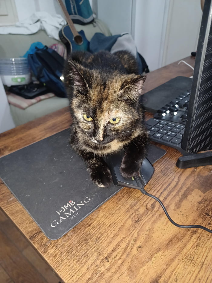 Hard day at the office for pro gamer Siggy - 9GAG