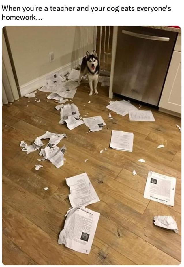 No one would believe it's the dog - 9GAG