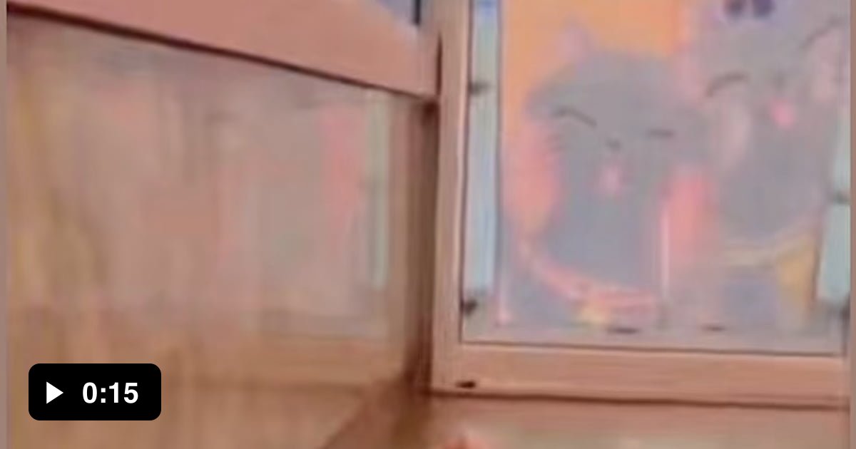 Typical orange cat - 9GAG