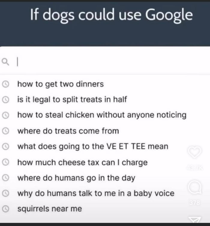 Dogs thinking out loud - 9GAG