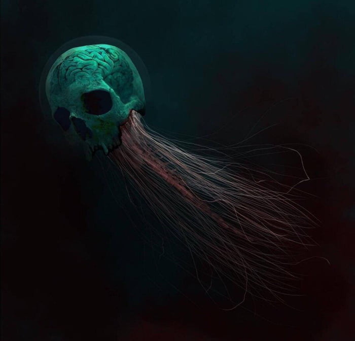 The skelly-fish, Dweller of the dark depths - 9GAG
