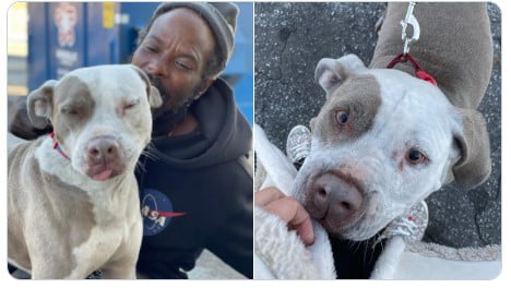 This is Keith Walker. He's homeless. He was picking up his dog from an ...