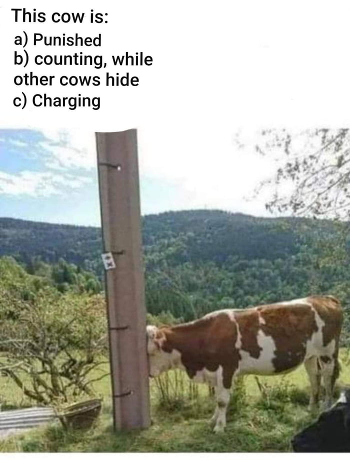 Here is a fair question - 9GAG