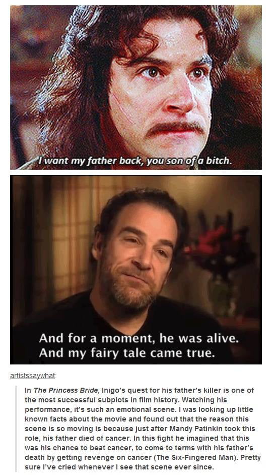 My name is Inigo Montoya. You killed my father. Prepare to die. - 9GAG