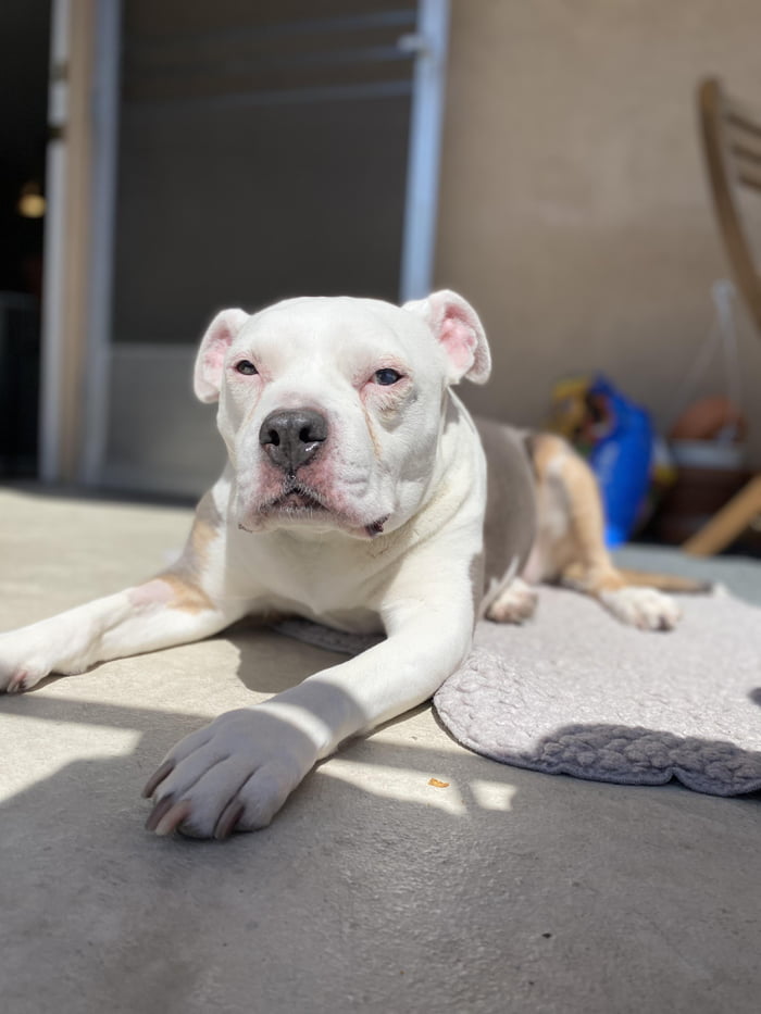 She’s a BBB. That’s a Big Beautiful Baby - 9GAG